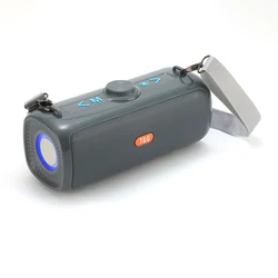 Haut-parleur Bluetooth Portable T&G Tg647 - Gris - OmegaNet